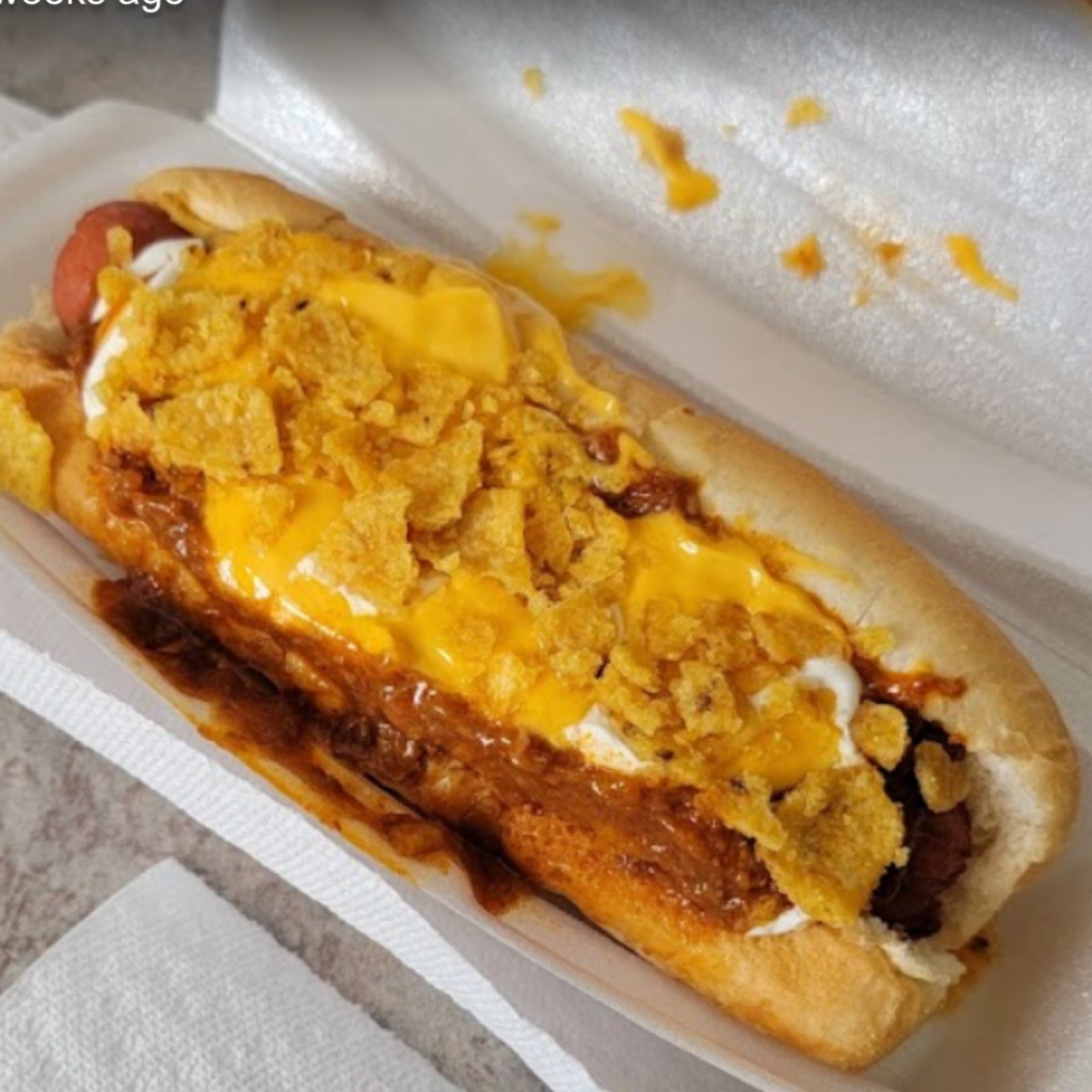 Courtstreet dog | Courthouse Coneys